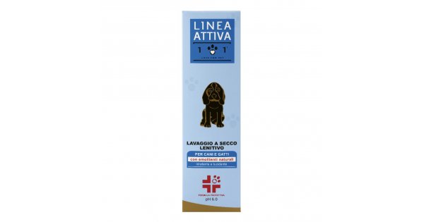 LAVAGGIO SECCO LENIT 250ML 101 LOVE