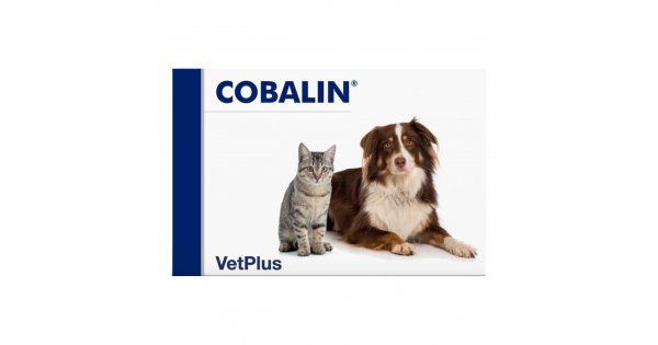 Cobalin per Cani e Gatti 60 Capsule - Integratore Vitaminico per ...